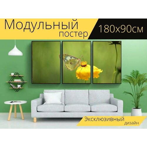 Модульный постер "Белая бабочка, косноязычный, желтый цветок" 180 x 90 см. для интерьера