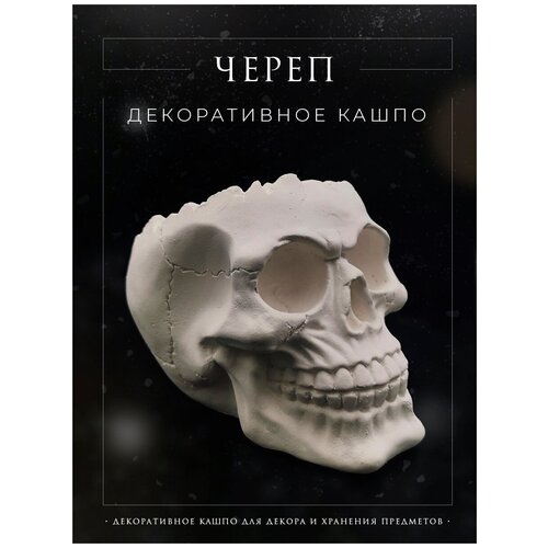 Декоративный Череп, декор для интерьера, анатомический череп ALFA-ART, 10 см, 1 шт