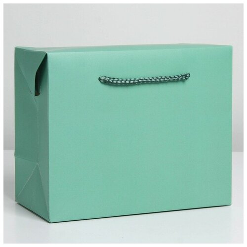 Пакет — коробка «Тиффани», 28 × 20 × 13 см