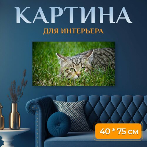 Картина на холсте "Кошка, котенок, полосатый" на подрамнике 75х40 см. для интерьера