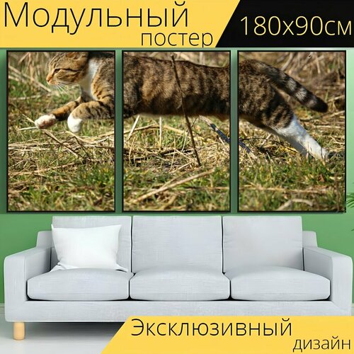 Модульный постер "Кот, котенок, скумбрия" 180 x 90 см. для интерьера