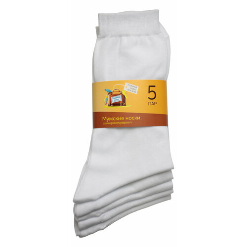 Носки Годовой запас носков, 5 пар, размер 25 (40-41), белый