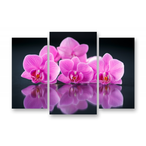 Модульная картина на стекле | Diva Kartina | Цветы. Три орхидеи | 100X70 см