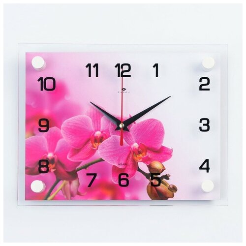 Часы настенные, серия: Интерьер, "Розовая Орхидея", 20 х 26 см