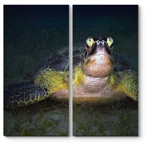 Модульная картина Зеленая черепаха ночью 40x40