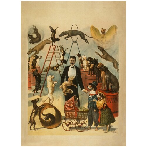 Постер / Плакат / Картина Дрессировщик собак 50х70 см в подарочном тубусе