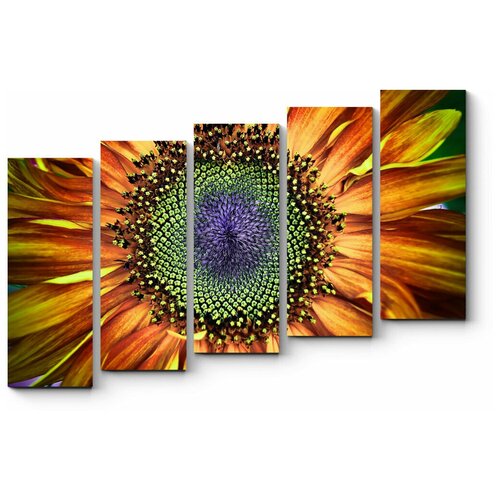 Модульная картина Внутри цветка солнца 150x105
