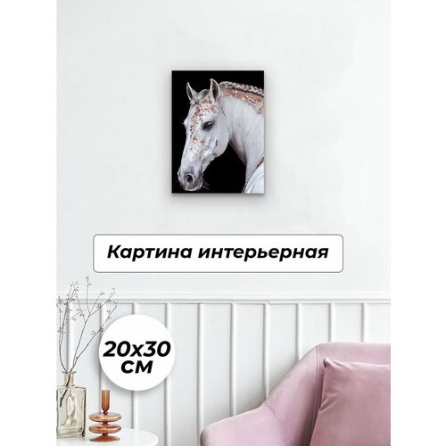Картины для интерьера 20х30 Лошадь Белая Конь