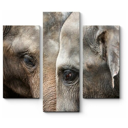 Модульная картина Любовь слонов 120x108