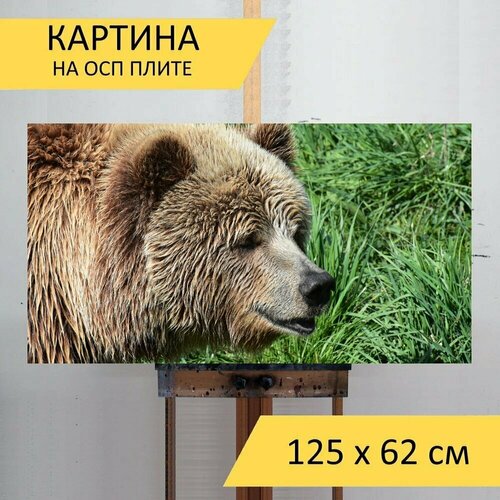 Картина на ОСП 125х62 см. "Европейский бурый медведь, бурый медведь, заповедник" горизонтальная, для интерьера, с креплениями
