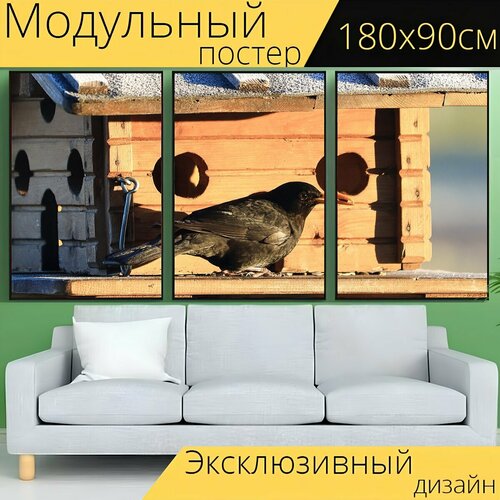 Модульный постер "Черный дрозд, кормушка для птиц, птица" 180 x 90 см. для интерьера