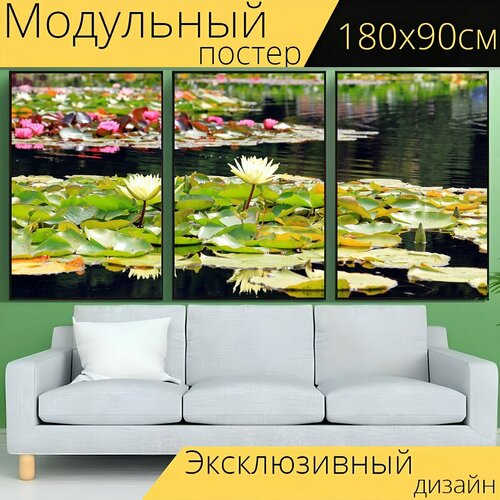 Модульный постер "Водяные лилии, кубышка растение, водные растения" 180 x 90 см. для интерьера