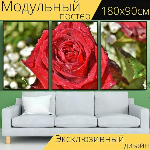 Модульный постер "Роза, благородная роза, букет из роз" 180 x 90 см. для интерьера