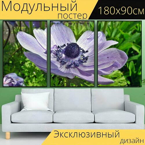Модульный постер "Цветок, синий, весна" 180 x 90 см. для интерьера