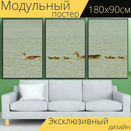 Модульный постер "Озеро, птица, воды" 180 x 90 см. для интерьера