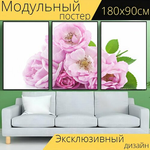 Модульный постер "Цветы, розы, лепестки" 180 x 90 см. для интерьера