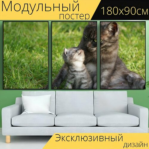 Модульный постер "Кот, материнская любовь, кошка мама кошка с ребенком" 180 x 90 см. для интерьера