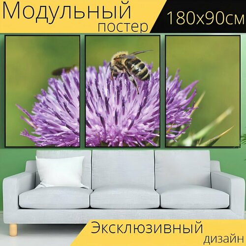 Модульный постер "Пчела, насекомое, цвести" 180 x 90 см. для интерьера