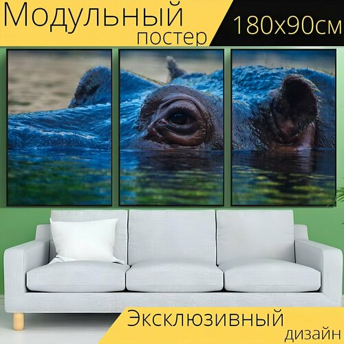 Модульный постер "Бегемот, травоядных животных, вода" 180 x 90 см. для интерьера