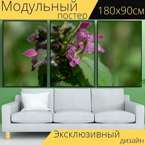 Модульный постер "Цветок, сад, природа" 180 x 90 см. для интерьера