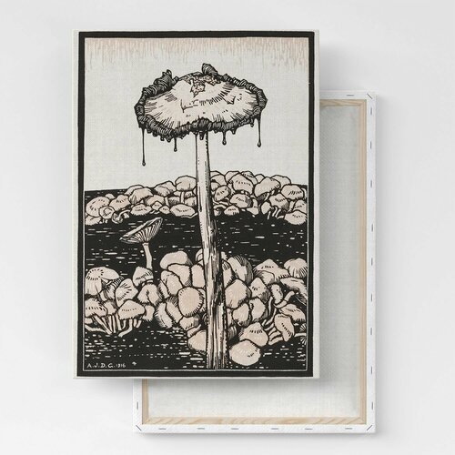 Картина на холсте, репродукция / Джули де Грааг - Dripping mushroom / Размер 40 x 53 см