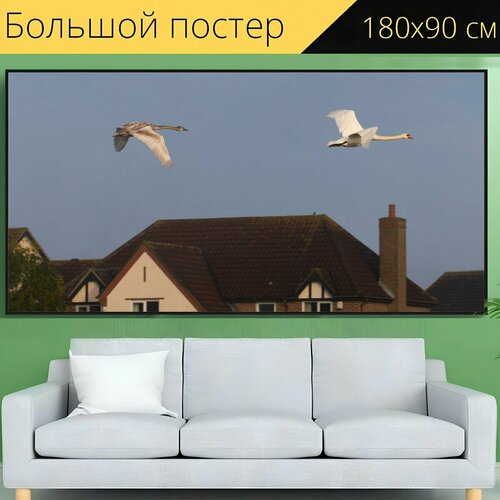 Большой постер "Лебеди в полете, белые птицы, лебедь" 180 x 90 см. для интерьера