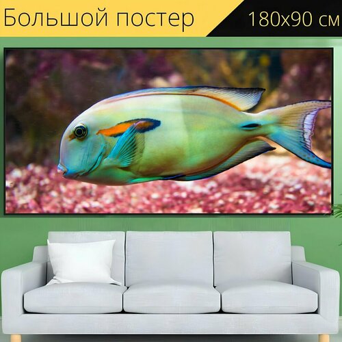 Большой постер "Рыбы, аквариум, мохан" 180 x 90 см. для интерьера