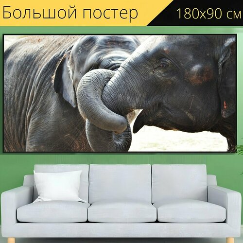 Большой постер "Слон, джунгли, дикий" 180 x 90 см. для интерьера