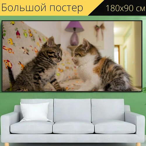 Большой постер "Кошка, котенок, кот" 180 x 90 см. для интерьера