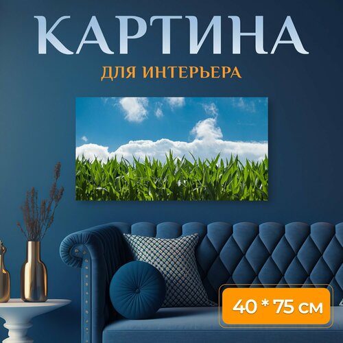 Картина на холсте "Кукурузное поле, ферма, облака" на подрамнике 75х40 см. для интерьера