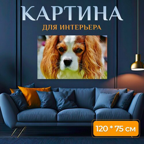 Картина на холсте "Собака, кавалер кинг чарльз спаниель, веселая" на подрамнике 120х75 см. для интерьера