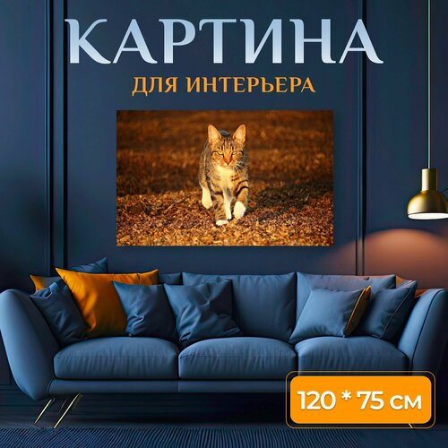 Картина на холсте "Кот, падение, домашняя кошка" на подрамнике 120х75 см. для интерьера