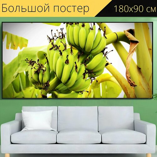 Большой постер "Банан, дерево, зеленый" 180 x 90 см. для интерьера
