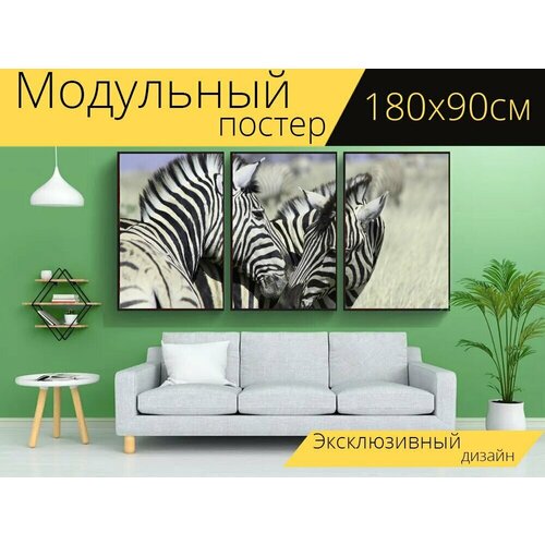 Модульный постер "Зебры, африке, зебру" 180 x 90 см. для интерьера