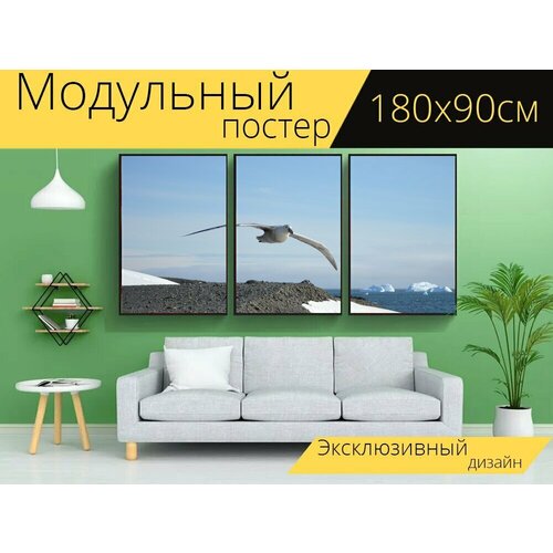 Модульный постер "Гигантский буревестник, птица, птицы" 180 x 90 см. для интерьера