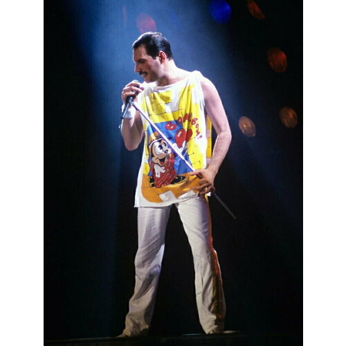 Плакат, постер на холсте Freddie Mercury/Фредди Меркьюри/музыкальные/поп исполнитель/артист/поп-звезда/группа. Размер 30 х 42 см