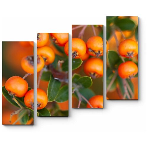 Модульная картина Спелые ягоды рябины 90x78