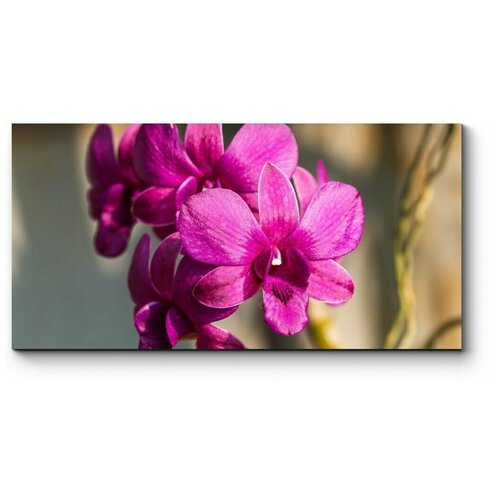 Модульная картина Королева цветов - прекрасная орхидея 180x90