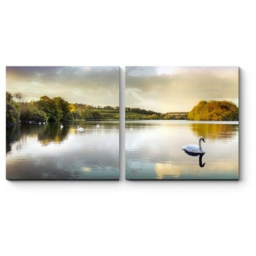 Модульная картина Лебеди в шотландском озере 90x45
