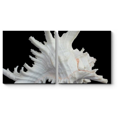 Модульная картина Морская раковина110x55