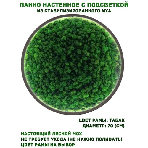 Круглое панно из стабилизированно мха GardenGo с подсветкой в рамке цвета табак диаметр 70 см, цвет мха зеленый
