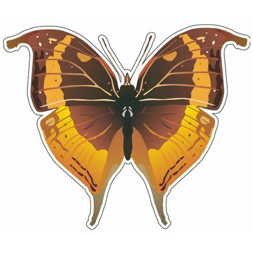 Наклейка декоративная Бабочка 12x10 см