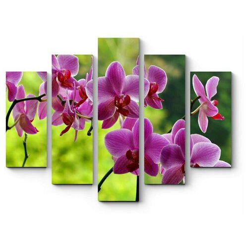 Модульная картина Неподражаемые орхидеи 125x100