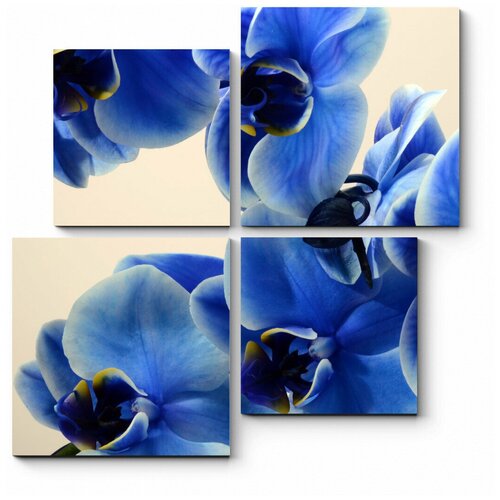 Модульная картина Синие орхидеи 100x100