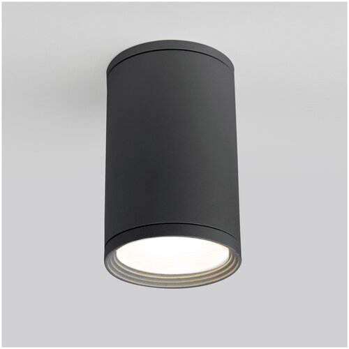 Уличный потолочный светильник Elektrostandard Light 2101 IP65 35128/H серый
