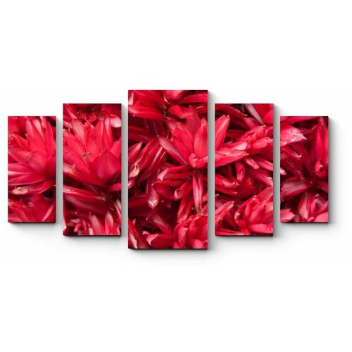 Модульная картина Красные тропические цветы150x83