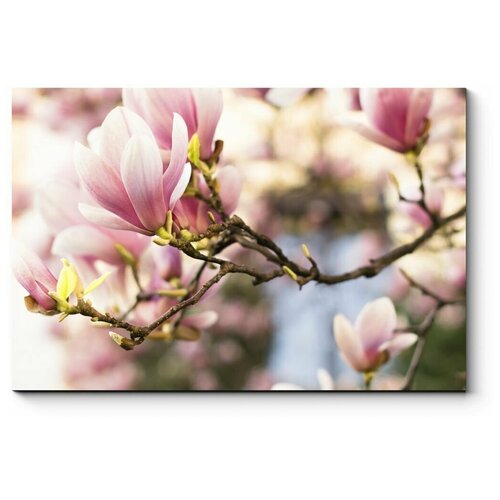Модульная картина Весны прекрасное цветение 80x53