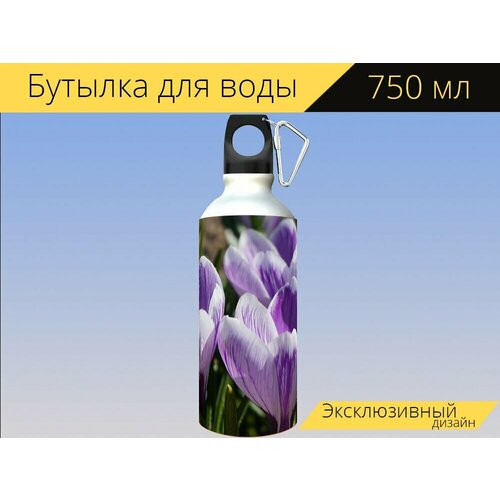 Бутылка фляга для воды "Крокусы разноцветные, белым цветом сирень, цветы весенние" 750 мл. с карабином и принтом