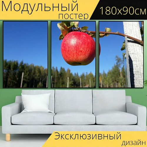 Модульный постер "Яблоко, свежий, здоровый" 180 x 90 см. для интерьера