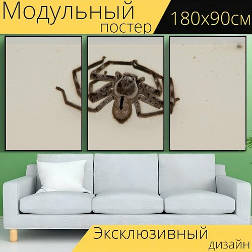 Модульный постер "Охотник паук, паук, большой" 180 x 90 см. для интерьера